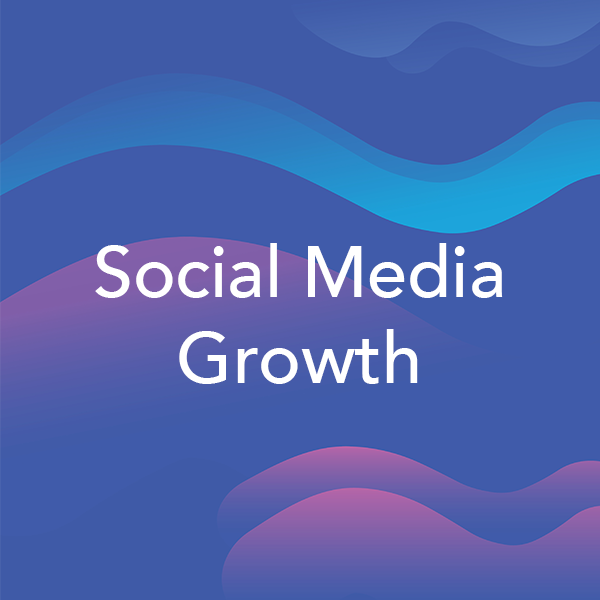Social Media Growth - Bizink